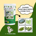 Buy Farmgokart | PUMPKIN OVAL, CHAPPAN KADDU, RIDGE GOURD & SUMMER SQUASH SEEDS |Combo Pack Of 4 ...