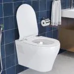 Buy Plantex Platinum Ceramic Wall Hung Western Toilet, Water Closet ...