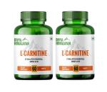 Buy Divya Himalayan L-Carnitine L-Tartrate 500mg Fat Burner, Energy ...