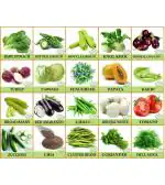 Buy Flare Seeds 20 Variety Vegetable Seeds Kitchen Garden Combo Pack ...