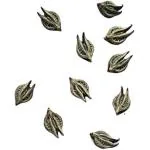 Buy CooPany Garuda Mukku / Bat Head Roots / TeluKondi Kaya Seeds Pack ...