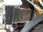 Buy NexusGears Radiator Guard for 310GS Online at Best Prices in India ...