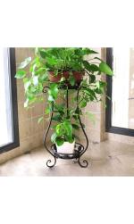 Buy MHS DECOR ADORABLE LIVING SOLUTIONS Plant Stand Flower Pot Stand ...
