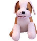 Buy ARD Chotu Dog Online at Best Prices in India - JioMart.