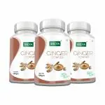 Buy SEYA Ginger (Adrak) Powder (Sonth/Soonth/Saunth/Sauth), 100gm (Pack ...