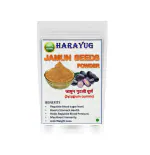Buy HARAYUG JAMUN SEEDS POWDER - JAAMUN GUTHLI POWDER - SYZYGIUM CUMINI ...