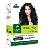 Buy Herbal Tatva Heena Based Hair Colour 40g | Ayurvedic Ingredients ...