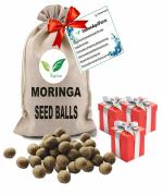 Buy IAgriFarm Compost Mixed Moringa Seed Ball - Pack of 100 Balls with ...