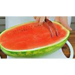 Buy AADCART Angurello Stainless Steel Watermelon Fruit Dig Corer Cutter ...