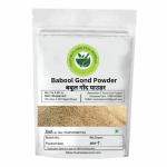 Buy NATURAL ORGANIC HERBAL Babool Gond Powder for eating - 50g Online ...