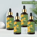 Buy Nainital Vitamin C Face Serum - Skin Brightening Serum, Anti-Aging ...