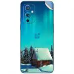 Buy GADGETSWRAP Printed Vinyl Skin Sticker for Oneplus 9 - pure 2 ...