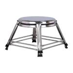 Buy Lifetime Stools Stainless Steel Stool (Pack of 2, 12 Inches) Online at Best Prices in India ...