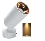 Buy OTS LIGHTS 12 Watts Adjustable Surface Gold Reflector Wall Mounted ...