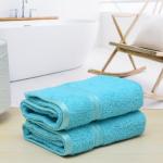 Buy Rangoli Super Comfy Aqua Hand Towel 38 cm x 58 cm (Set of 2) Online ...