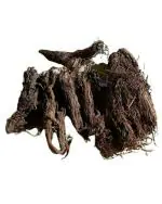 Buy Mygodgift Jatamasi Musk Roots (100g) Online at Best Prices in India ...