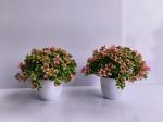 Buy Brozzo set of 2 Artificial plant for home decoration with pot (20 ...