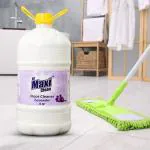 Buy Ad Maxi Clean Floor cleaner (5 ltr)-B5 Online at Best Prices in ...