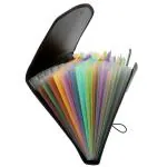 Buy Solo EX- 802 Expanding File (Elastic, with Swing) - 12 Section A4 ...