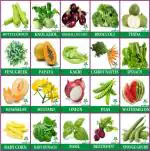 Buy Greenery Hub Organic 20 Varieties of Vegetable Seeds (20 Per Packet ...