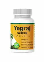 Alka Ayurvedic Pharmacy - Maha Yograj Guggulu Tablet- 60 Tab - JioMart