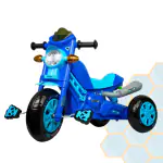Buy DANDLES Java Sports Bike Pedal Kids Tricycle with Musical Horn and Lights 2-6 Years Tricycle ...