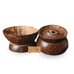 Buy Coco Land Coconut Shell Planter Pot Large Size (Pack of 2) Coconut ...