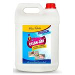 Buy CLEAN-DAY Marble And Granite Cleaner & Softener-5 L | Floor Cleaner ...