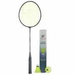 Buy TRIUMPH Badminton Racket , Badminton Shuttle Cock , Badminton ...