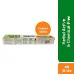 Buy Herbal Strategi Mostick Herbal Mosquito Repellent Incense Stick ...