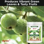 Buy Agreno Guava Buds and Fruits Booster, Essential Powerful Organic ...