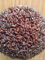 Uzhavan Unavu - Organic Traditional Vaadan Samba Rice (Common name as ...