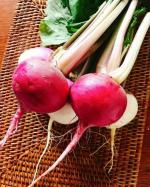 Buy Red Turnip Online at Best Prices in India - JioMart.