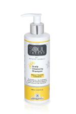 Buy SOUL SATTVA Scalp Cleansing Shampoo Neem - 250 ml Online at Best ...
