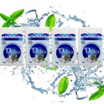 Buy Delica Instant Mouth And Breath Freshner Spray For Bad Breath ...