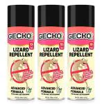 Buy Gecko India's First Aerosol Based Lizard Spray Herbal Lizard ...