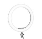 Buy ZuZu, move for more better. High-quality 12 inch ring light ...