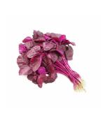 Buy Kechuaa Amaranthus Leaf Red/Cholai Red Saag (50 seeds) Online at ...