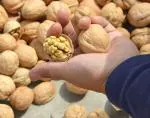 Buy 3P Kashmiri Inshell Walnuts 1kg | Wallnuts in Inshell | Akhrod 1kg | Walnuts with shell ...