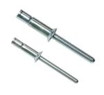 Buy RELY (Pcs-25) M5x14 mm Mono Bolt Rivets Mild Steel | Mono Bolt ...