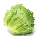 Buy Kechuaa Green Lettuce Iceberg SALISTA 200 Seeds -1 Packets Online ...