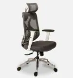 Buy Ample Seatings White And Grey Alloy Steel And Nylon 2D Adjustable ...