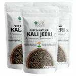 Buy Bliss of Earth 3x100gm Kali Jeeri, Bitter Cumin, Kadwa Jeera, Black ...