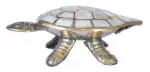 Buy Jag Mohan Yogesh Wish Fulfilling Turtle/Kachua/Tortoise (Iccah ...