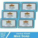 Buy Herbal Khadi Natural Pure Mint Bathing Soap Bar for anti ...