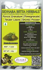 Buy Sidhara Betta Herbals Punica Granatum (Pomegranate) Tender Shoots ...