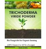 Buy Organic Biofungicide Trichoderma Viride Online at Best Prices in ...
