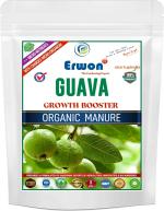 Buy Erwon Guava Growth Booster Manure (5 kg, Powder) Online at Best ...