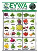 Buy Eywa Home Gardening Terrace Vegetable Seeds Organic 30 Varieties of ...