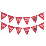 Buy Festiko Team PK Pennant Banners (Set of 13 Pcs), Ipl Theme Pennat ...